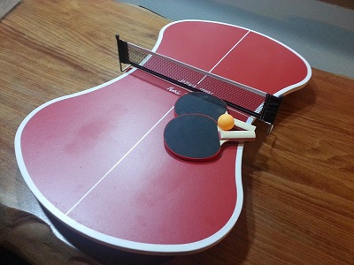Table Tennis Supplier Malaysia | Figure 8
